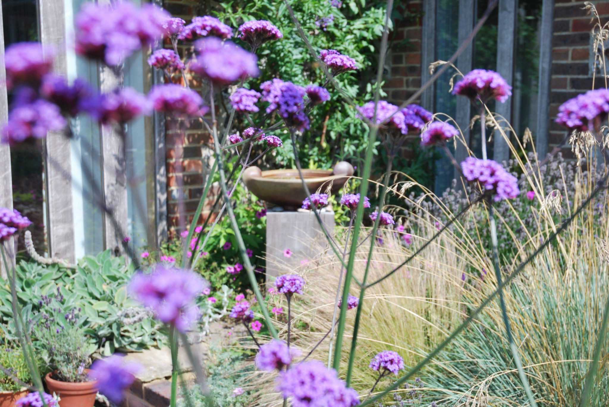 Country Courtyard Garden Design Portfolio | Nigel L Philips Garden Design