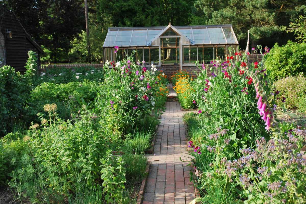 Potager Garden Design Portfolio | Nigel L Philips Garden Design