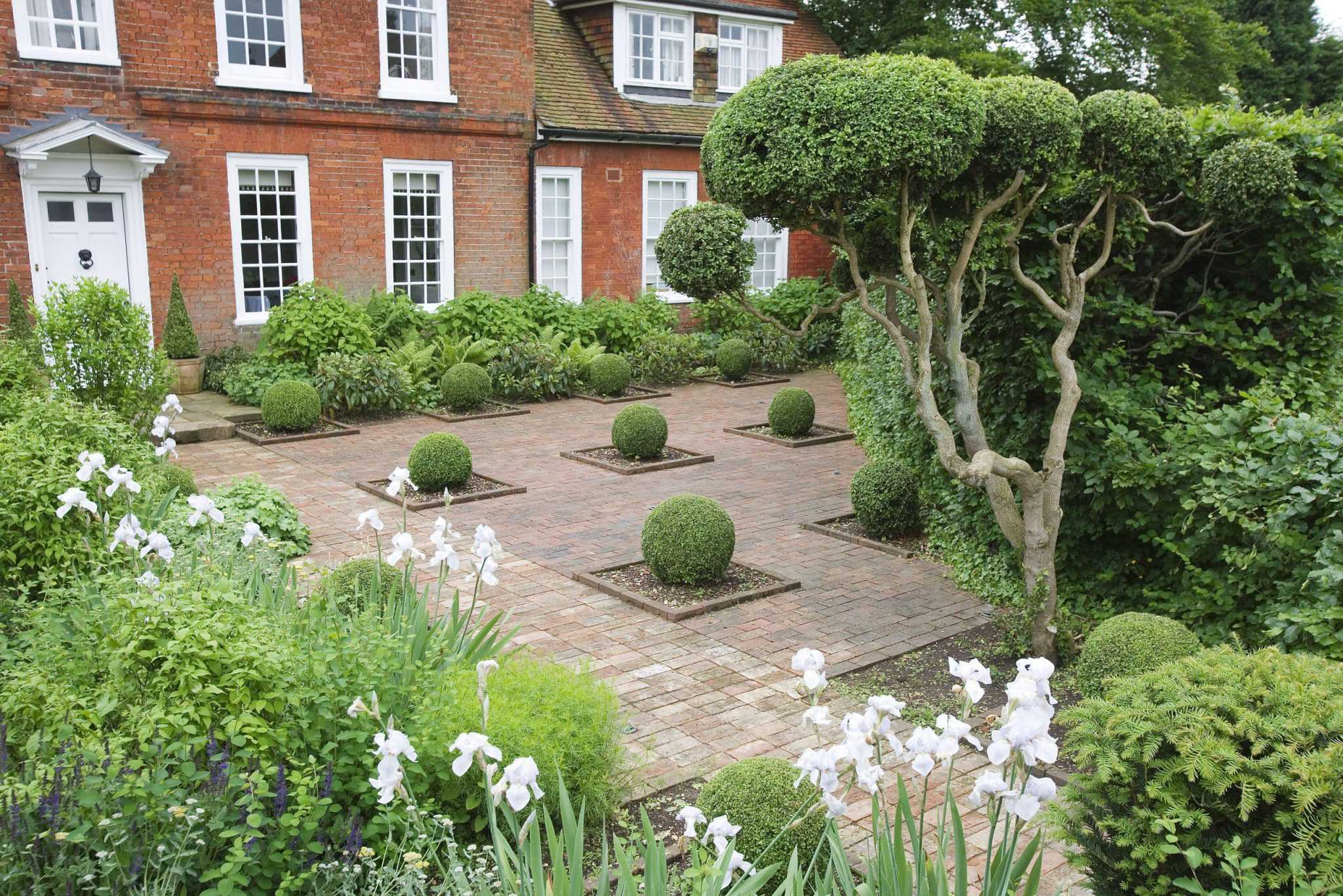 Front Garden Design Portfolio | Nigel L Philips Garden Design