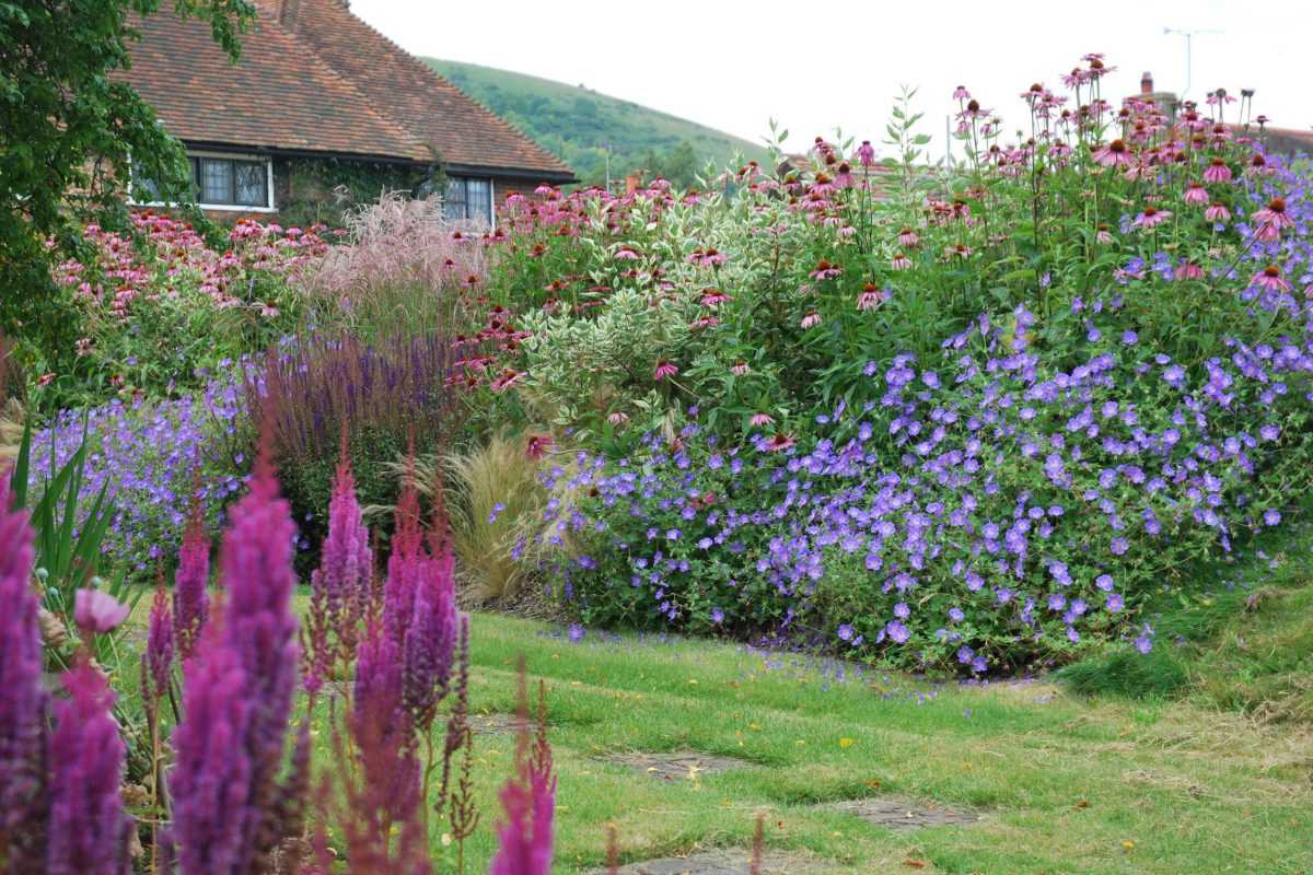 Flower Filled Downland Garden Design Portfolio | Nigel L Philips Garden ...